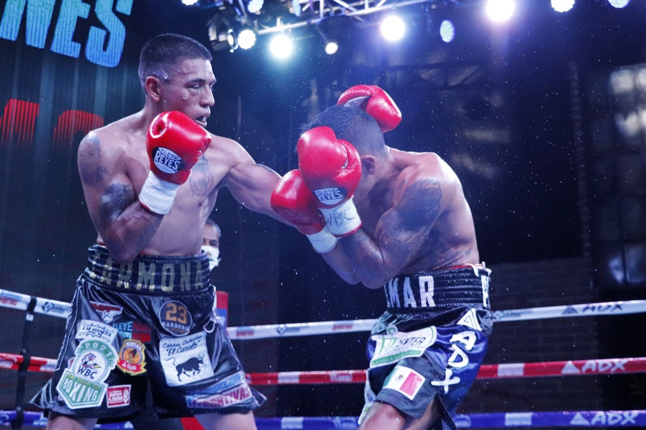 Boxing Results: Bermudez Upsets Canizales For WBA Light Flyweight Title ...
